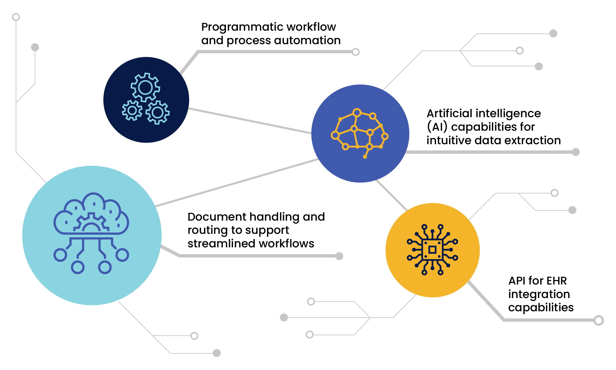 Who We Serve: Partners